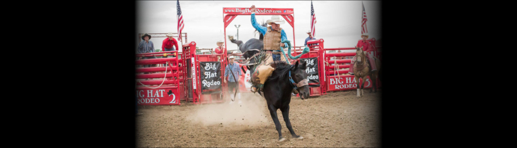 Photo Gallery for Professional Rodeo, Bull Riding