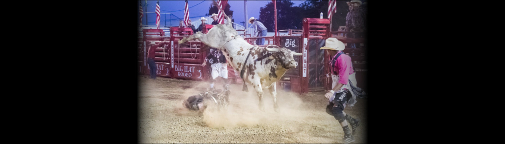 Photo Gallery for Professional Rodeo, Bull Riding